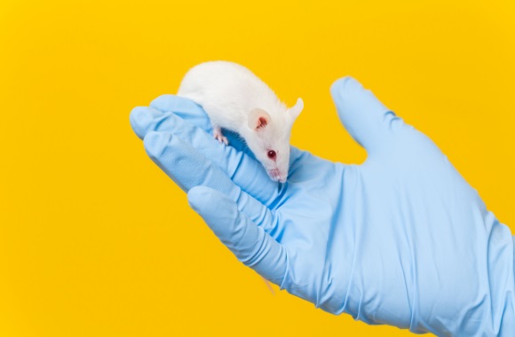 Euthanizing mice during the pandemic shutdown cost Rutgers over $1 ...