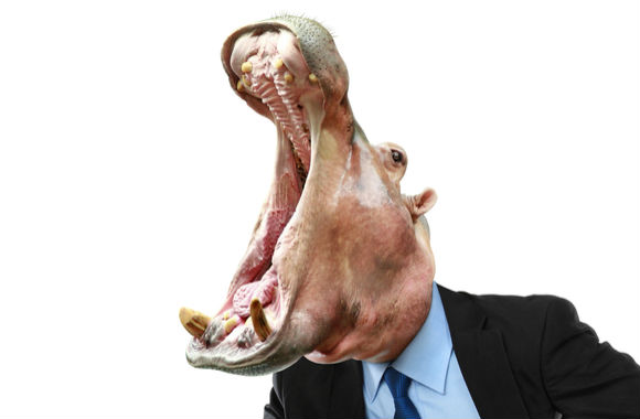 University of Arizona denies ‘official’ relationship with trans-hippo ...