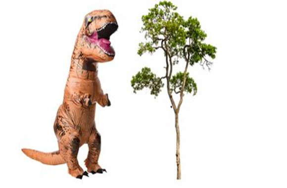 Students chain themselves to tree to protest climate change-induced ...