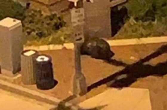 George Washington University takes three weeks to acknowledge beheading ...