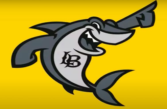 Cal State Long Beach’s new mascot: a non-binary shark who uses plural ...