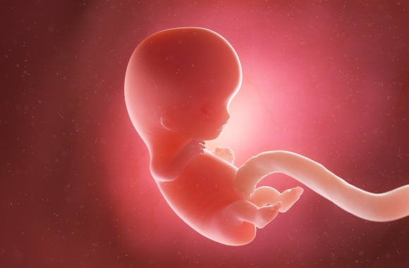 Leading ‘reproductive justice’ professor insists fetal heartbeats do ...