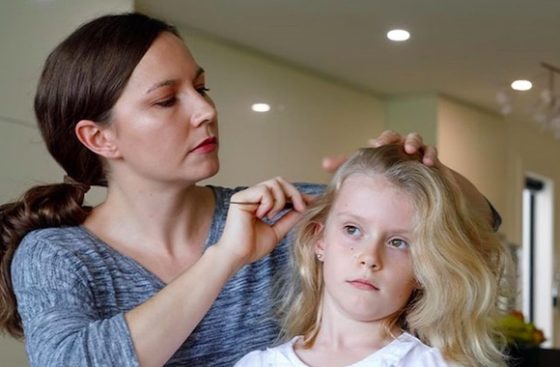 New guidelines: Students with lice should not be sent home because of ...