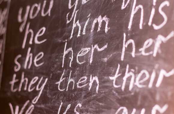 ‘Using the wrong pronouns’ is ‘abuse’: required Harvard training | The ...