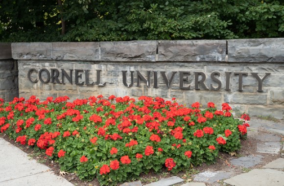 Democrats outnumber Republicans 98 to 1 in Cornell humanities ...