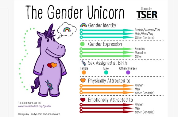 ‘Gender unicorn’ taught at Oklahoma State University | The College Fix