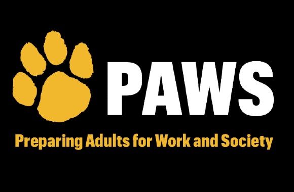 Mizzou launches new program for students with intellectual disabilities ...