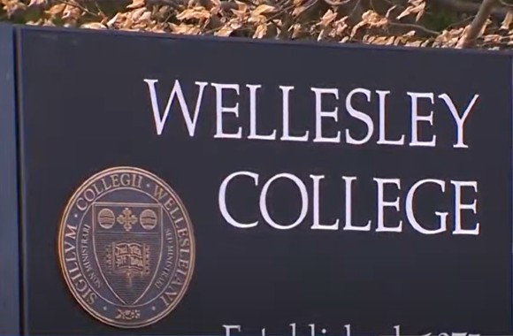 Wellesley College Seal Wellesley College Blue NCAA Name Logo Vinyl