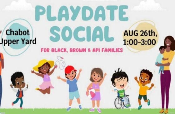 Elementary school hosts racially segregated ‘playdate’; critics slammed ...