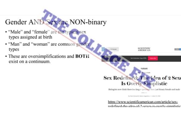 ‘People with cervices’: IU med school doubles down on gender ideology ...