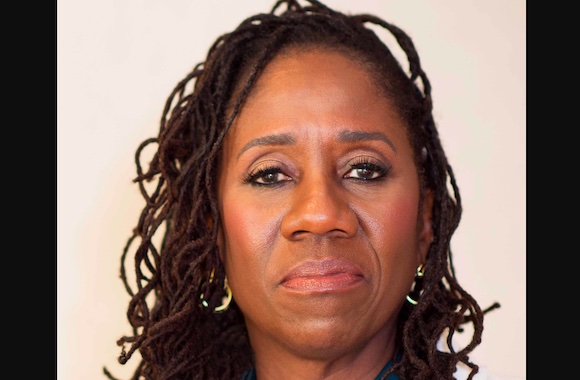 Harvard law professor tells audience to ‘imagine a new democracy’ | The ...