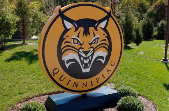 Quinnipiac Law scholarship excludes heterosexual males, faces Title IX ...