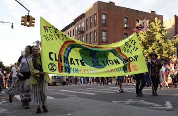 Recruit more queer, trans scholars to help environment: UMinn report ...