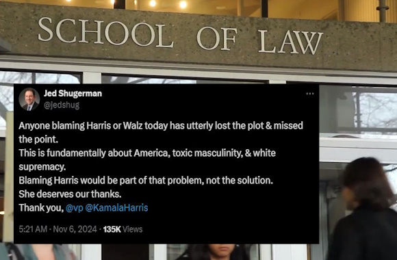 Prominent law professor blames Harris loss on ‘toxic masculinity’ and ...