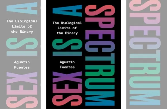 Princeton professor’s ‘Sex is a Spectrum’ book sparks academic freedom ...